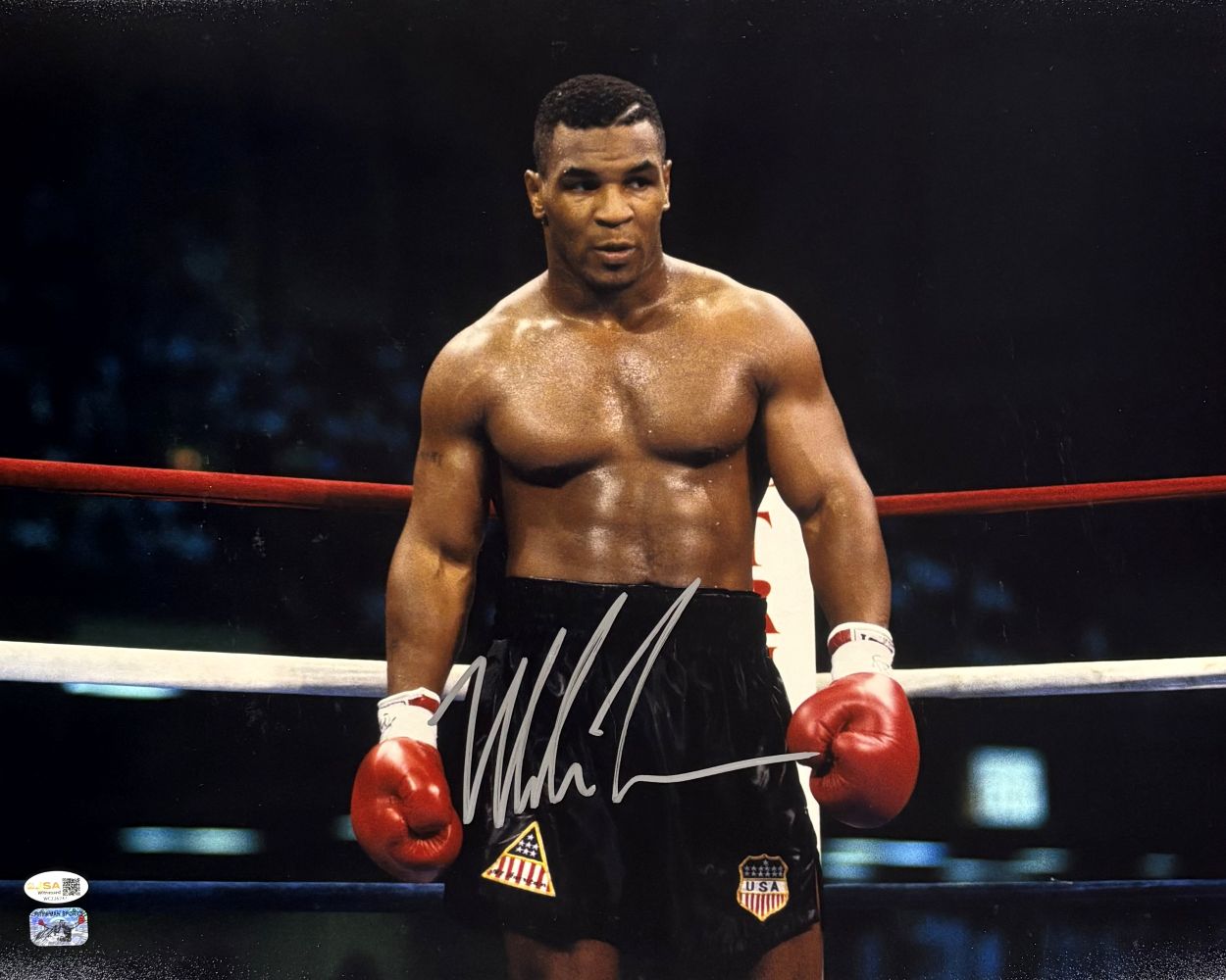 Mike Tyson Signed 16x20 Boxing Stare Photo JSA QR Hologram - Sports ...